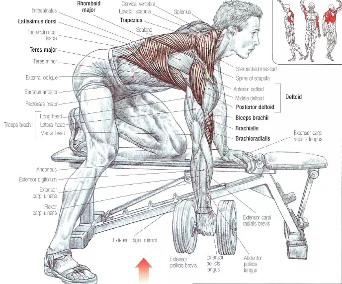 Nurture One's Heart @ ANiME CARdiO